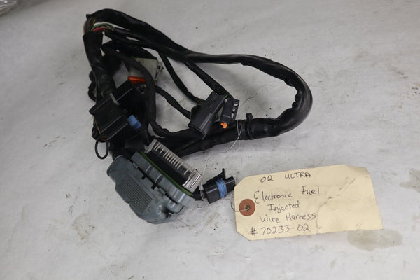 70233-02 Harley Davidson Electronic Fuel Injection Wire Harness ...