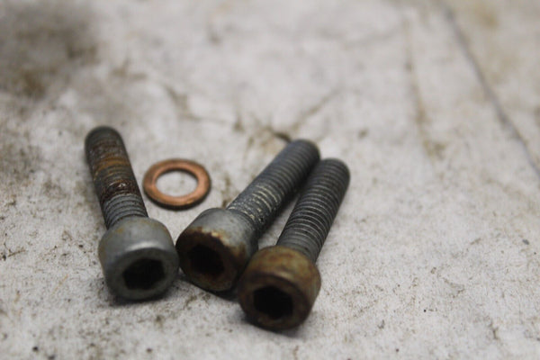 WATER PUMP COVER SCREW 3PCS 205062544 2004 CAN AM BOMBARDIER DS 650 ...