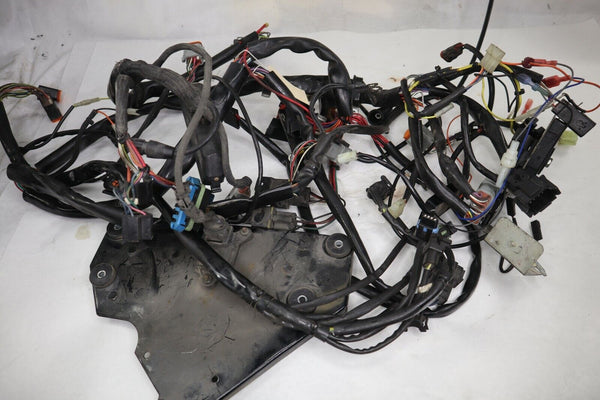Harley Davidson Main Wire Harness 1996 Road King Fuel Injected 70245-9 ...